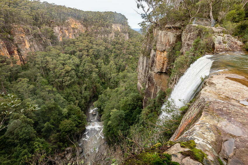 Belmore and Fitzroy Falls bushwalking and lookouts. | Wild Adventures ...