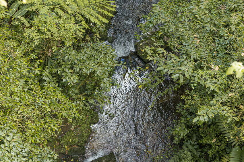 Selvatura Park – Monte Verde | Wild Adventures - Stephen and Sue