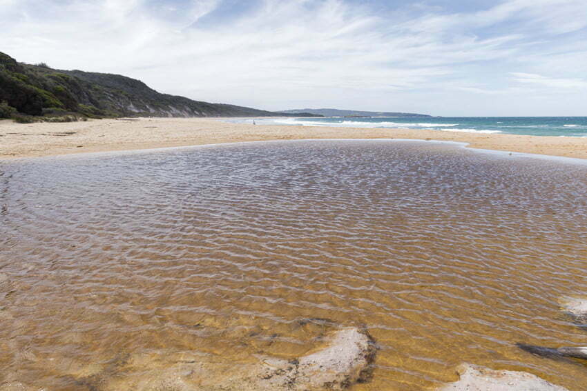 Dolphin Cove Drive – Tura Beach – Tura Head Coastal Reserve – Reggie’s ...