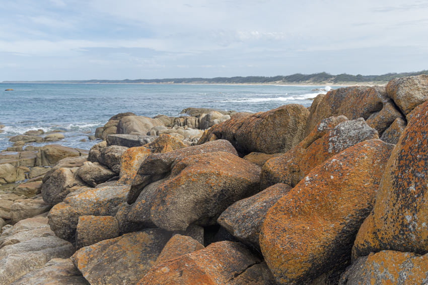 Marlo Western Boundary Track – Marlo Wetland Track – Marlo Centre Track ...