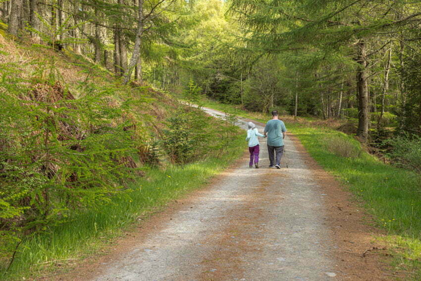Clachan Trail – Allean Forest | Wild Adventures - Stephen and Sue