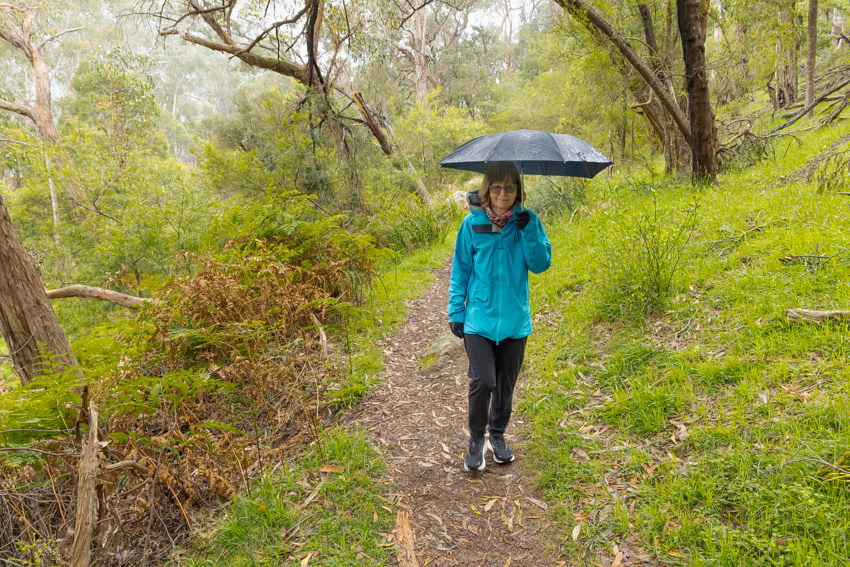 Halls Gap Holiday Park – Boronia Trail – Fyans Creek – Mt Ida – Fyans ...