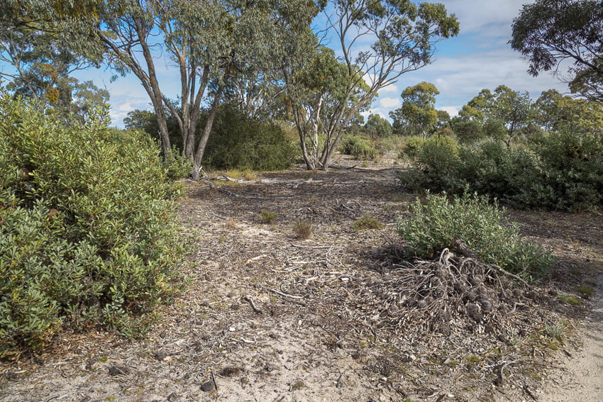 Horseshoe Bend Campground – Wimmera River – Desert Discovery Walk ...