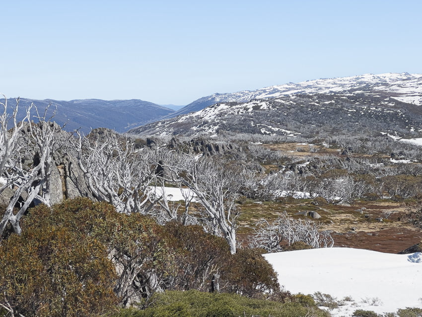 Perisher Valley – Porcupine Road – Porcupine Walking Track – Rock Creek ...