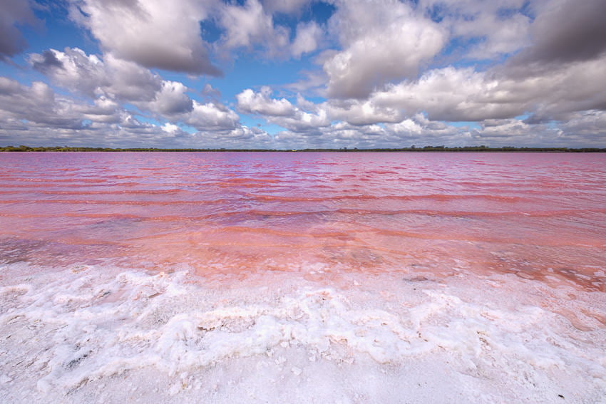 Pink Lake | Wild Adventures - Stephen and Sue