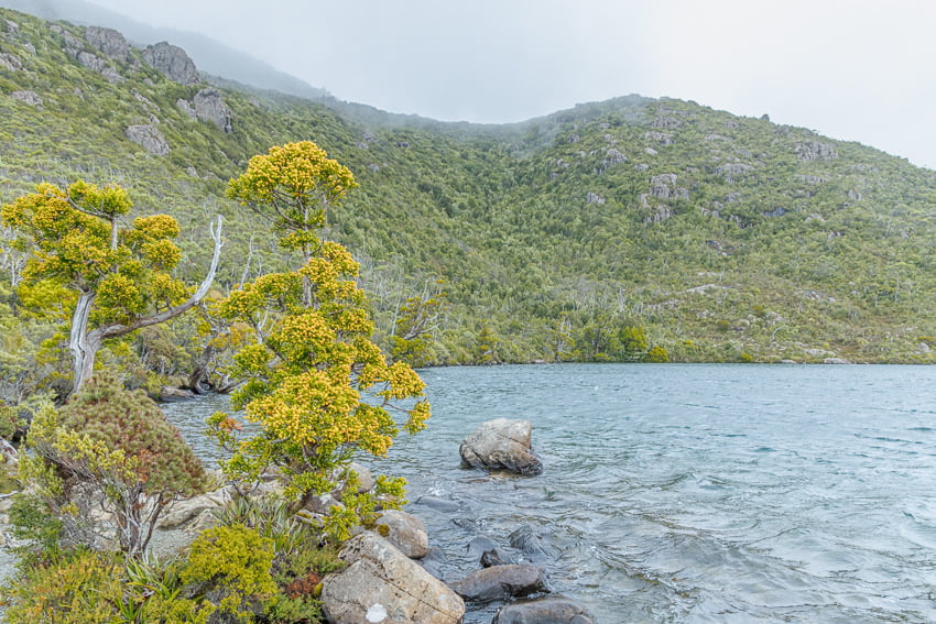 Hartz Peak Track Carpark – Lake Osborne + Arve Falls Track Carpark ...