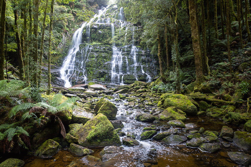 Nelson Falls Carpark on Lyell Highway – Nelson River – Nelson Falls ...