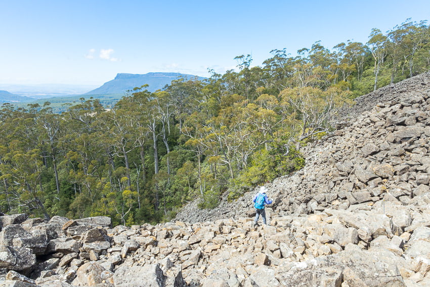 Quamby Bluff / lartitickitheker – Track Carpark – Quamby Bluff Track ...