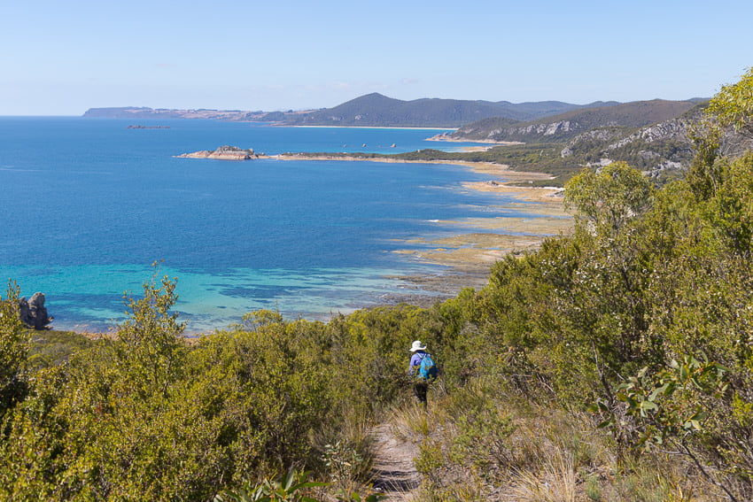 Rocky Cape Road Track – Cathedral Hill – Postman’s Pass – Rocky Cape Inland Track – Saddleback ...